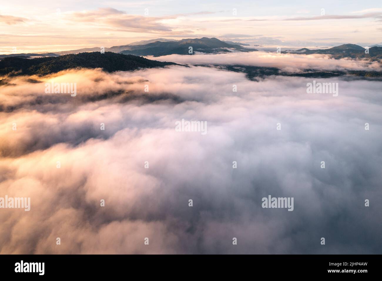 fog and clouds in the morning in the forest form above Stock Photo - Alamy