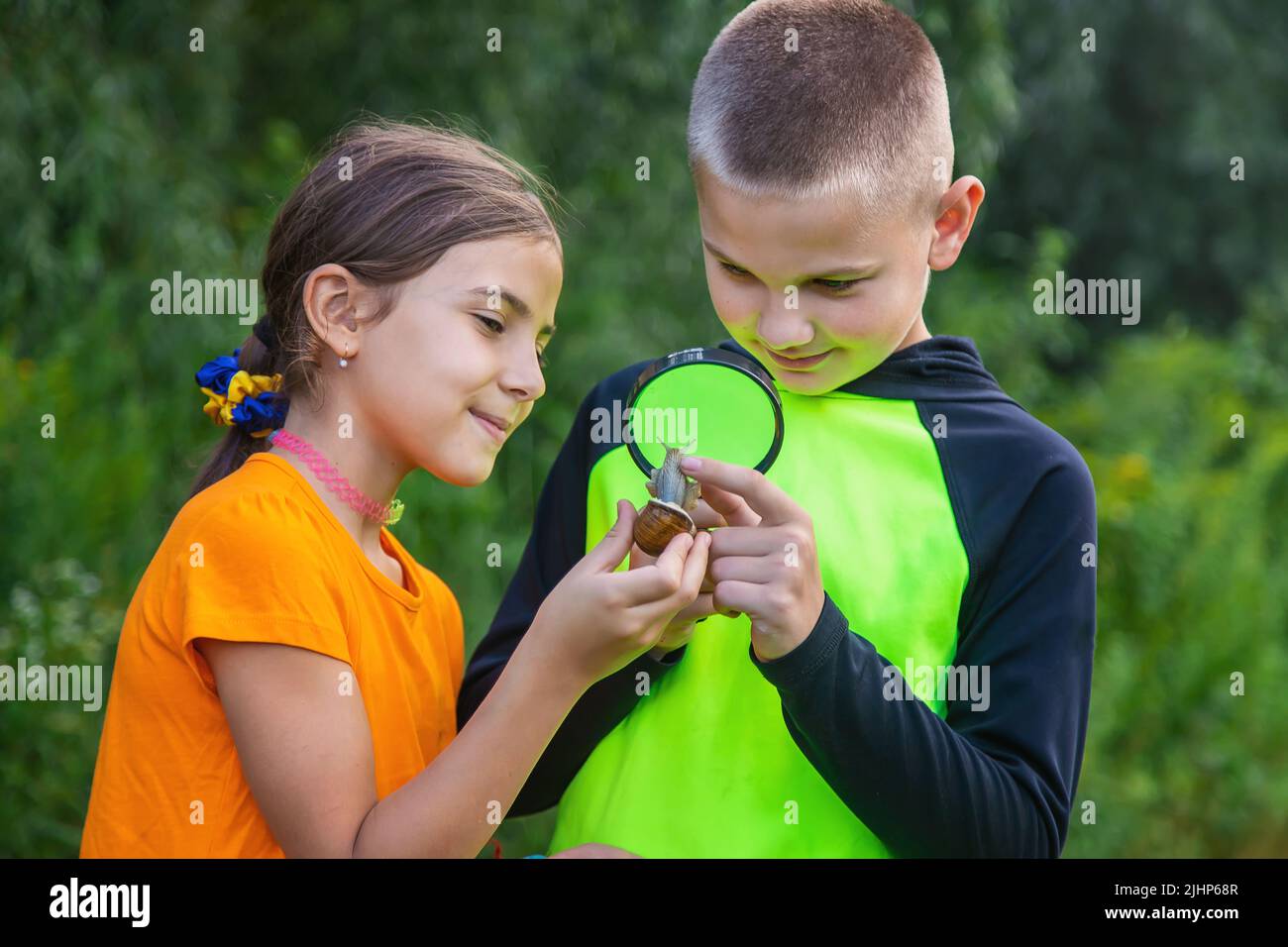 The child looks at the snail. Selective focus. Animal Stock Photo - Alamy