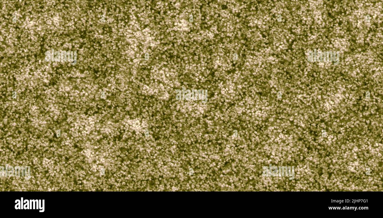 Olive fabric texture hi-res stock photography and images - Alamy
