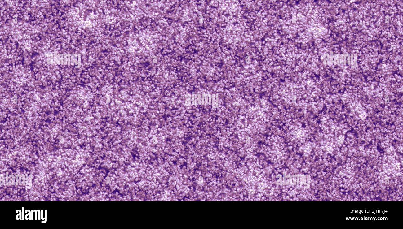 Frieze paper hi-res stock photography and images - Alamy