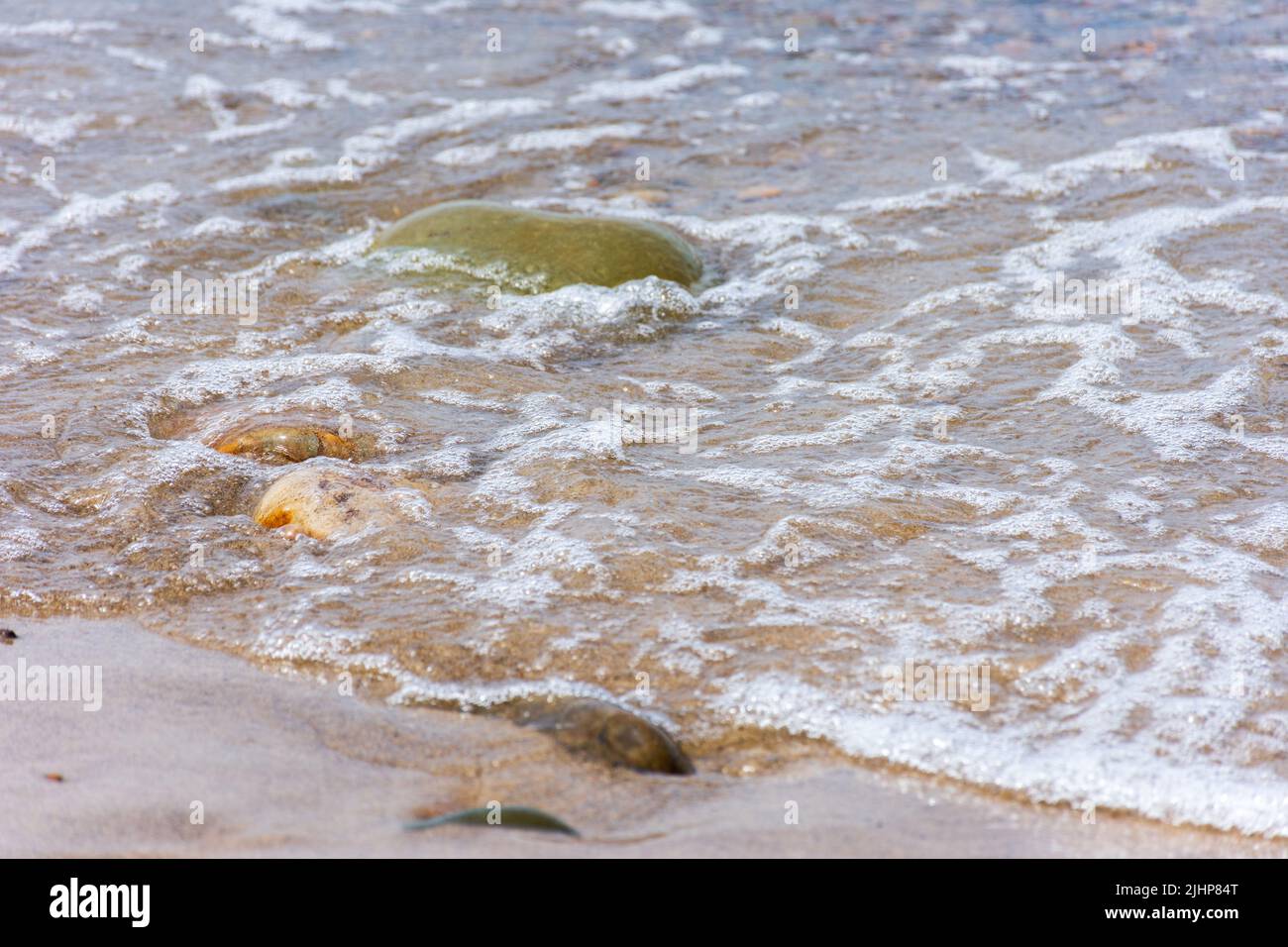 View of tiny Mediterranean sea waves in Jijel city, Algeria. Summer ...