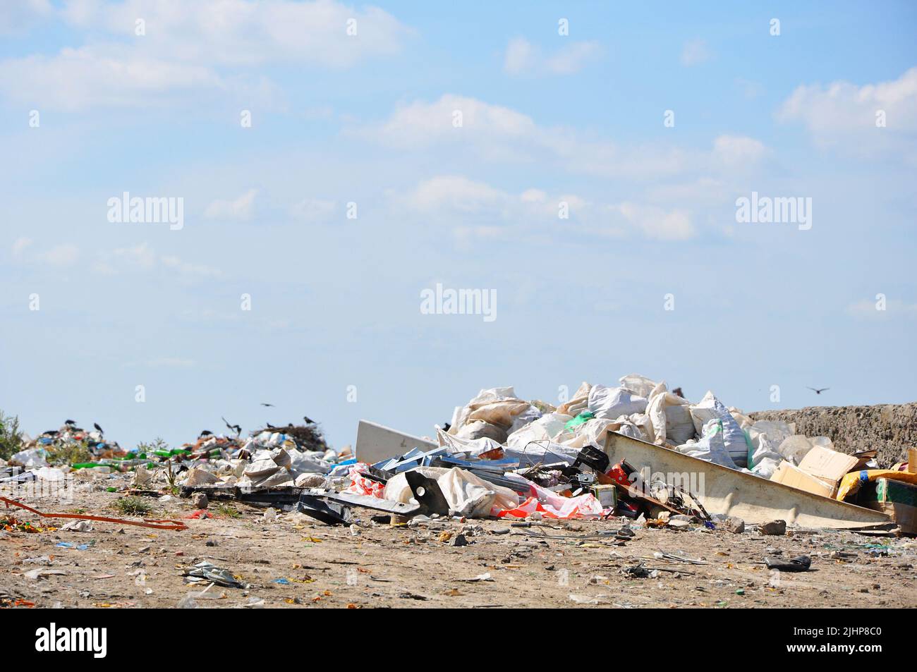 Different garbage on the ground in the municipal landfill with birds in ...