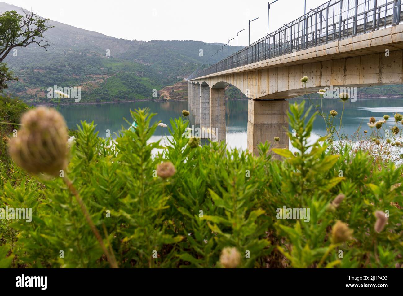 High concrete bridge crossing the dam in Jijel, Algeria Stock Photo - Alamy