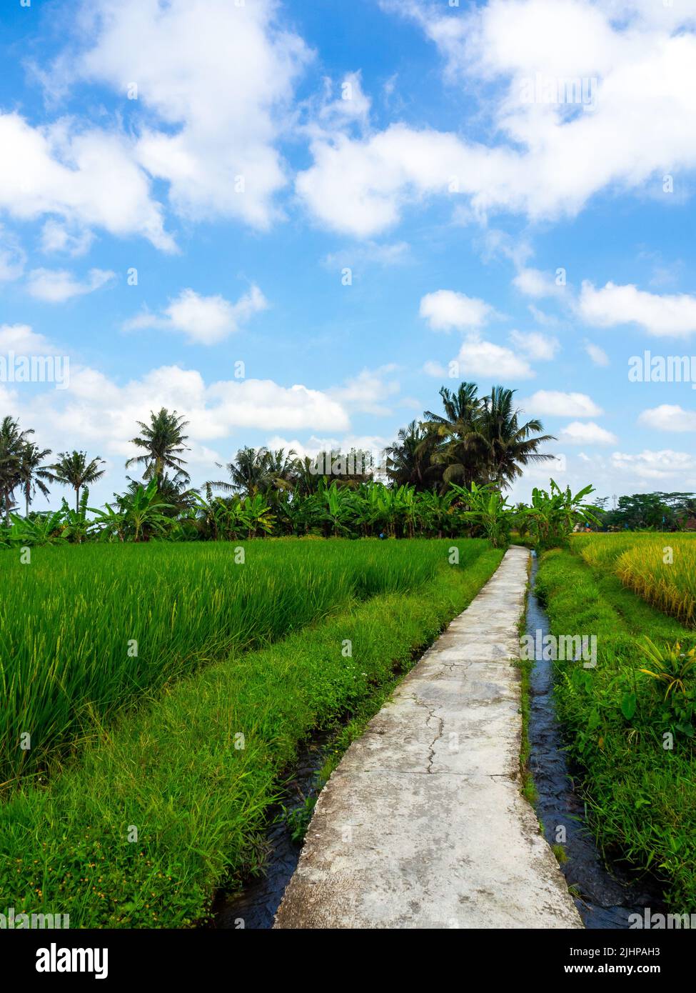 Bali ausflug hi-res stock photography and images - Alamy