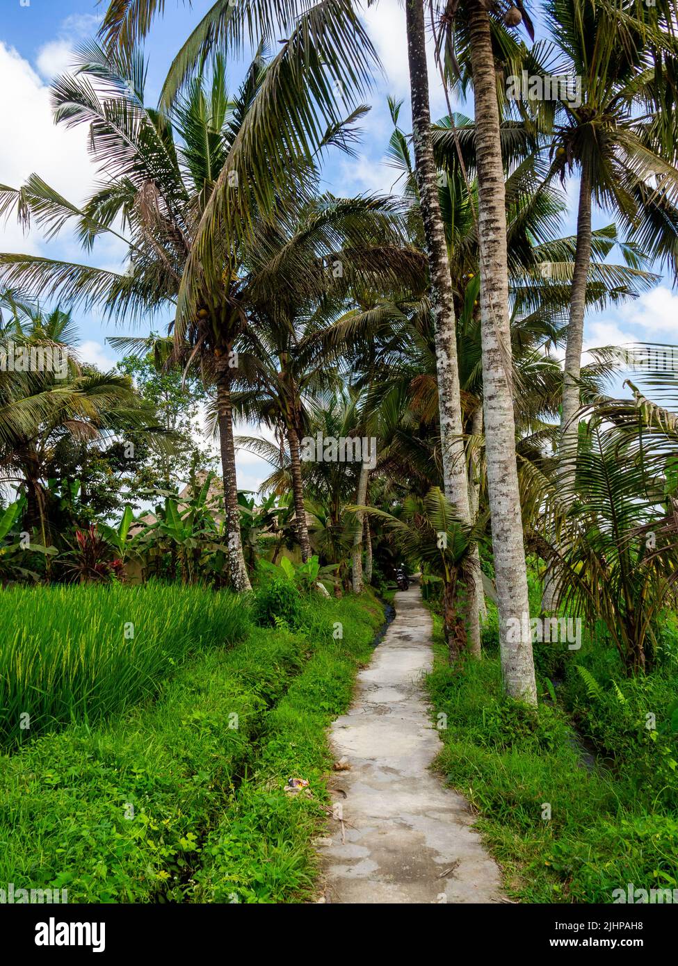 Bali ausflug hi-res stock photography and images - Alamy