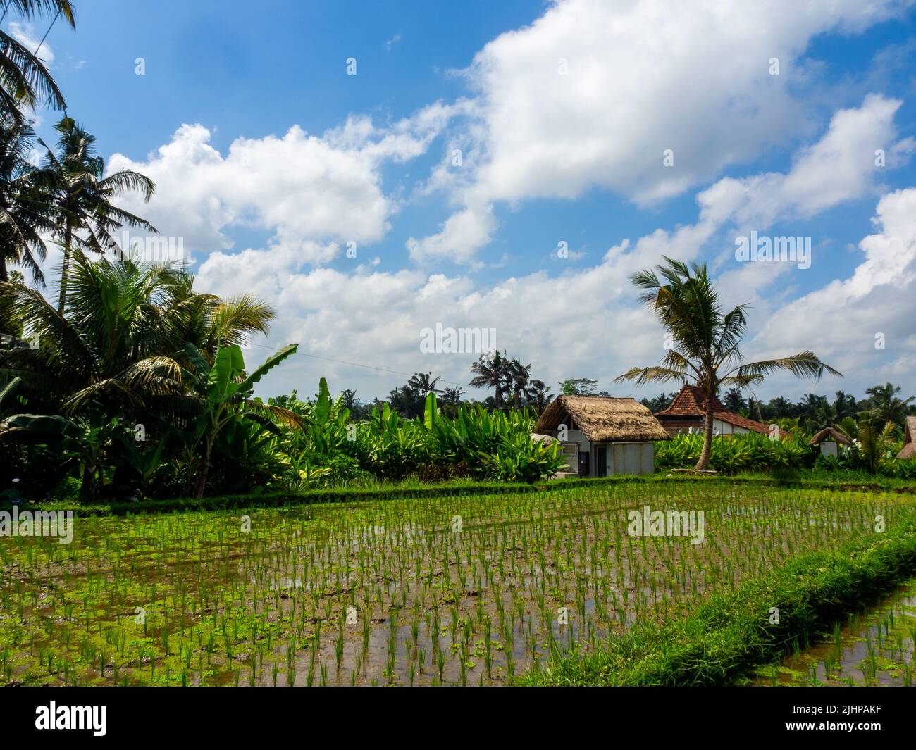 Bali ausflug hi-res stock photography and images - Alamy