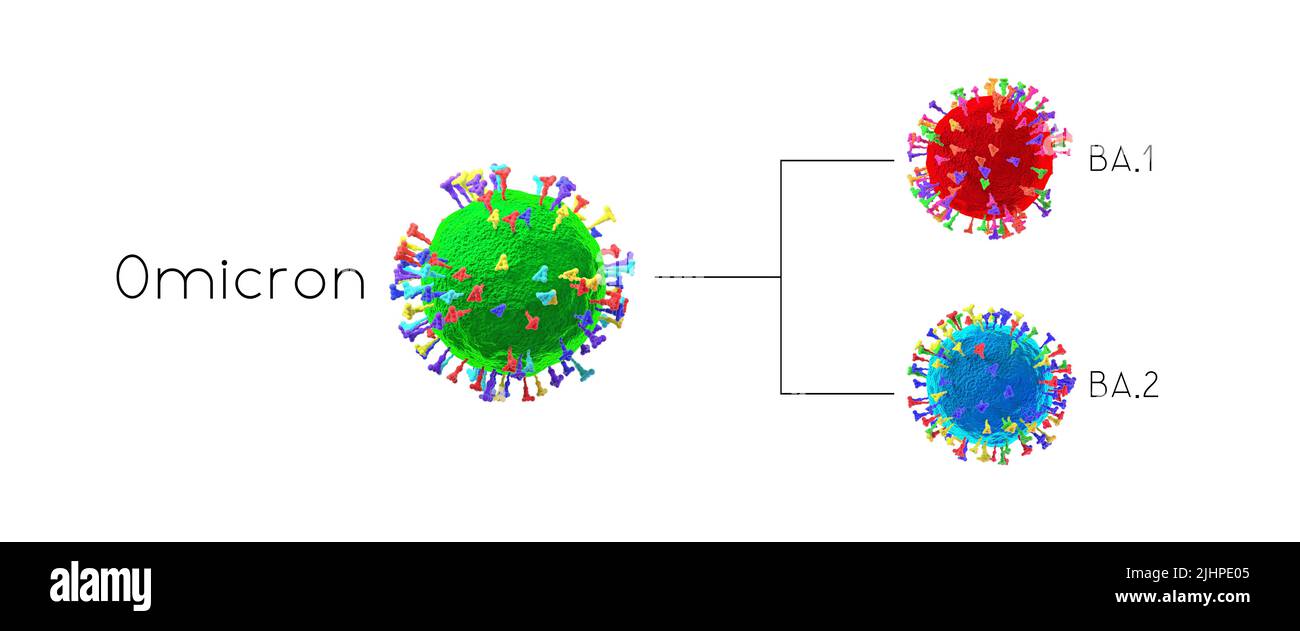 BA.1, BA.2 - SARS-CoV-2 Covid-19 coronavirus omicron variants - 3D ...