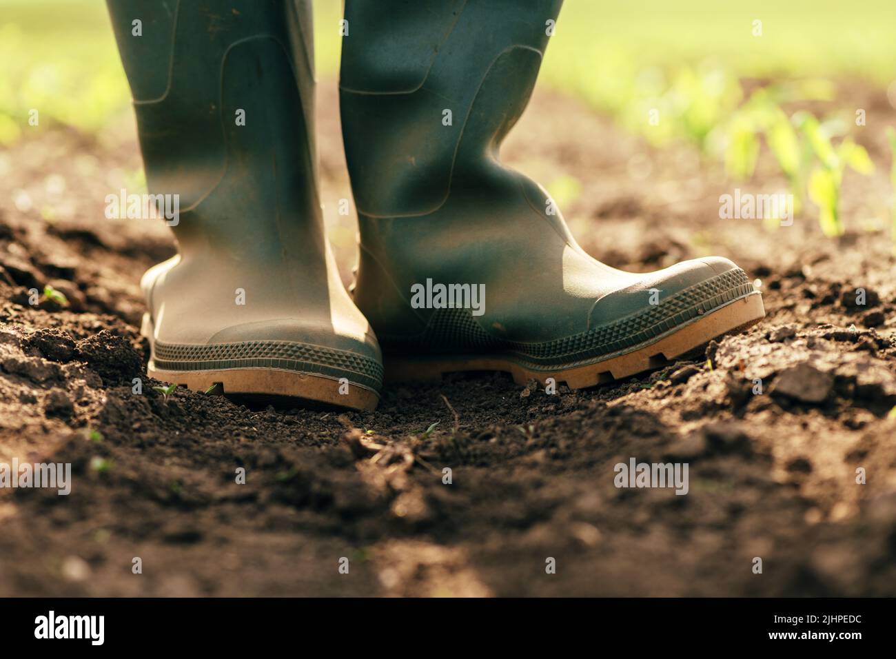 Close up farmer rubber boots hi-res stock photography and images - Alamy