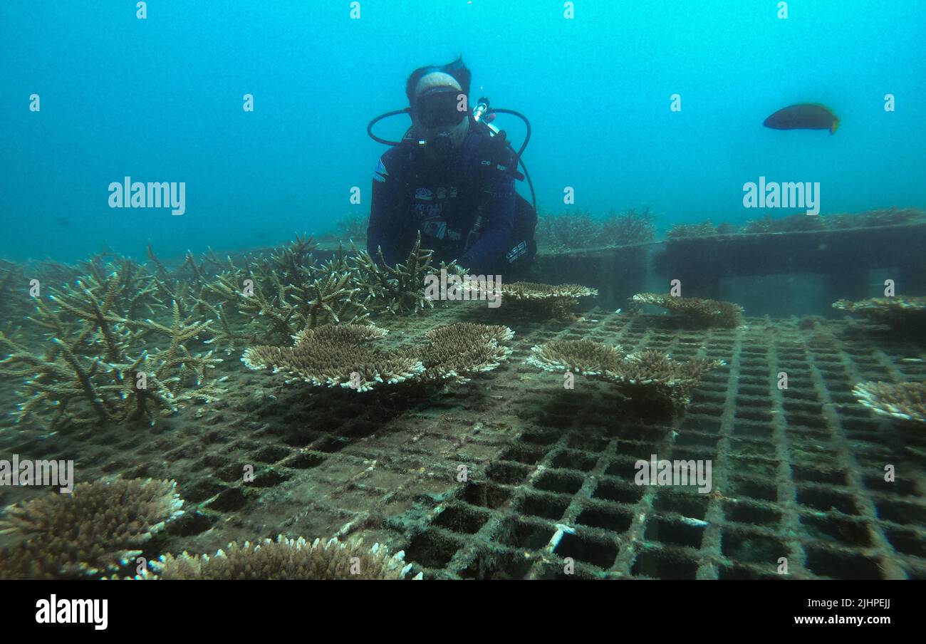 Marine ranching china hi-res stock photography and images - Alamy