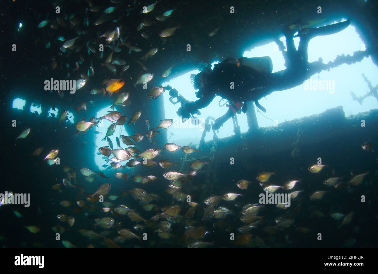 China marine ranching hi-res stock photography and images - Alamy