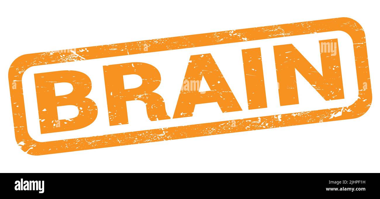 BRAIN text written on orange rectangle stamp sign Stock Photo - Alamy