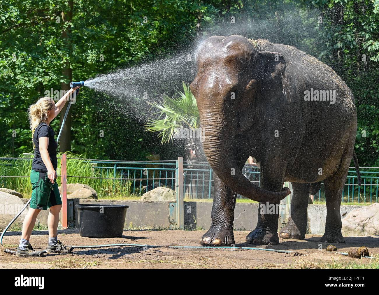 Cottbus, Germany. 20th July, 2022. Yvonne Weigelt, animal keeper at the ...