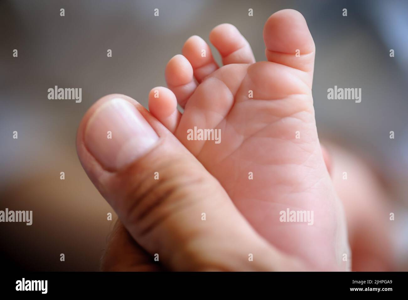 Close-up detail macro view of father thumb and baby small foot. Macro ...