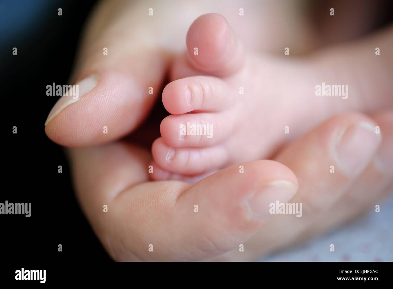 Close-up detail of mother holding cute and soft baby small leg in her ...