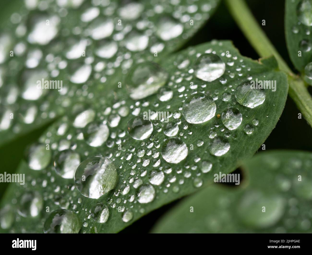 Surface Tension Definition, Calculation Examples Video, 55% OFF