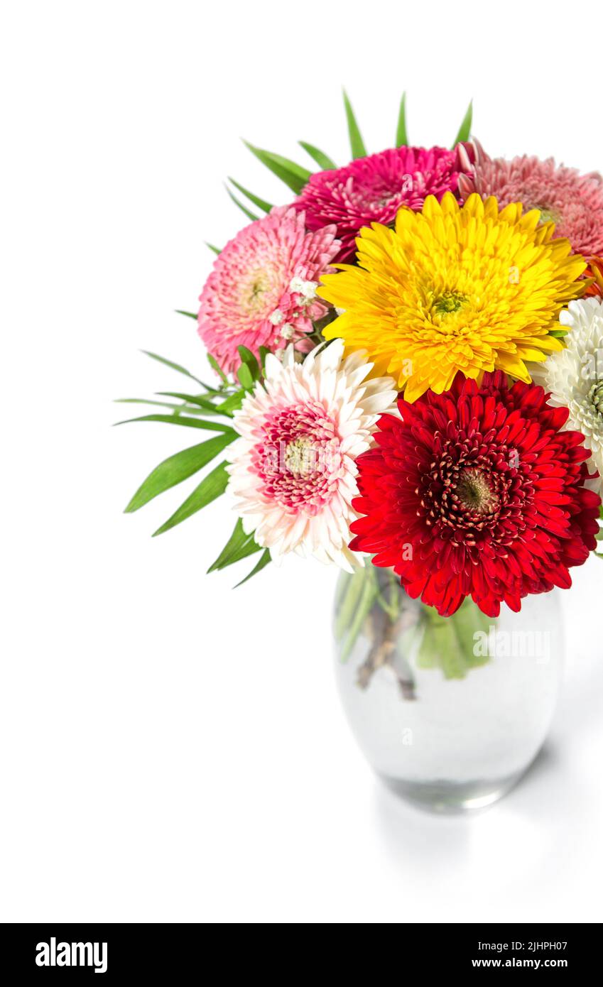 Gerbera flower in vase hi-res stock photography and images - Alamy