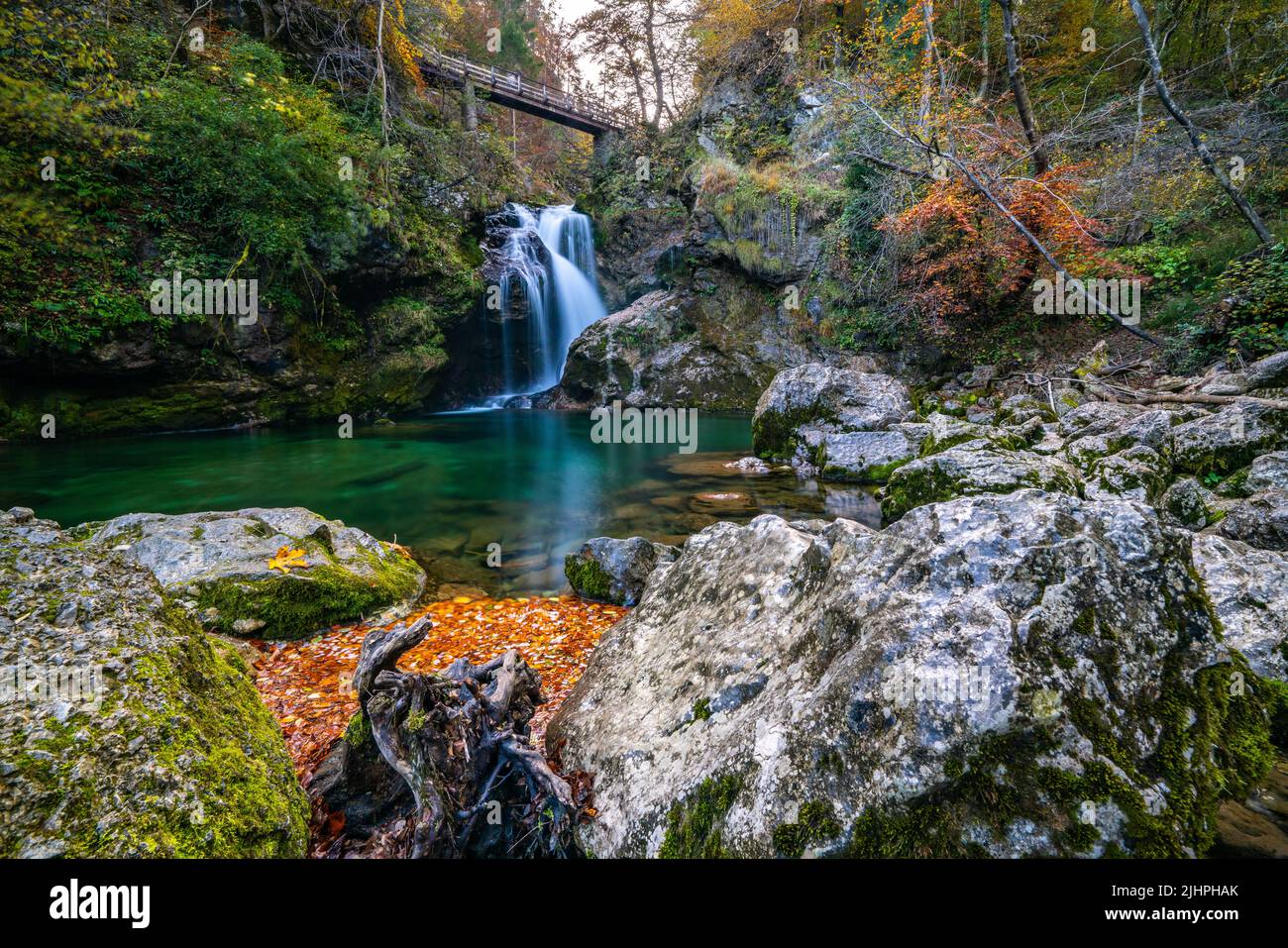 Gorgeous fall scene. The fall colors look great in the deep woods. View ...