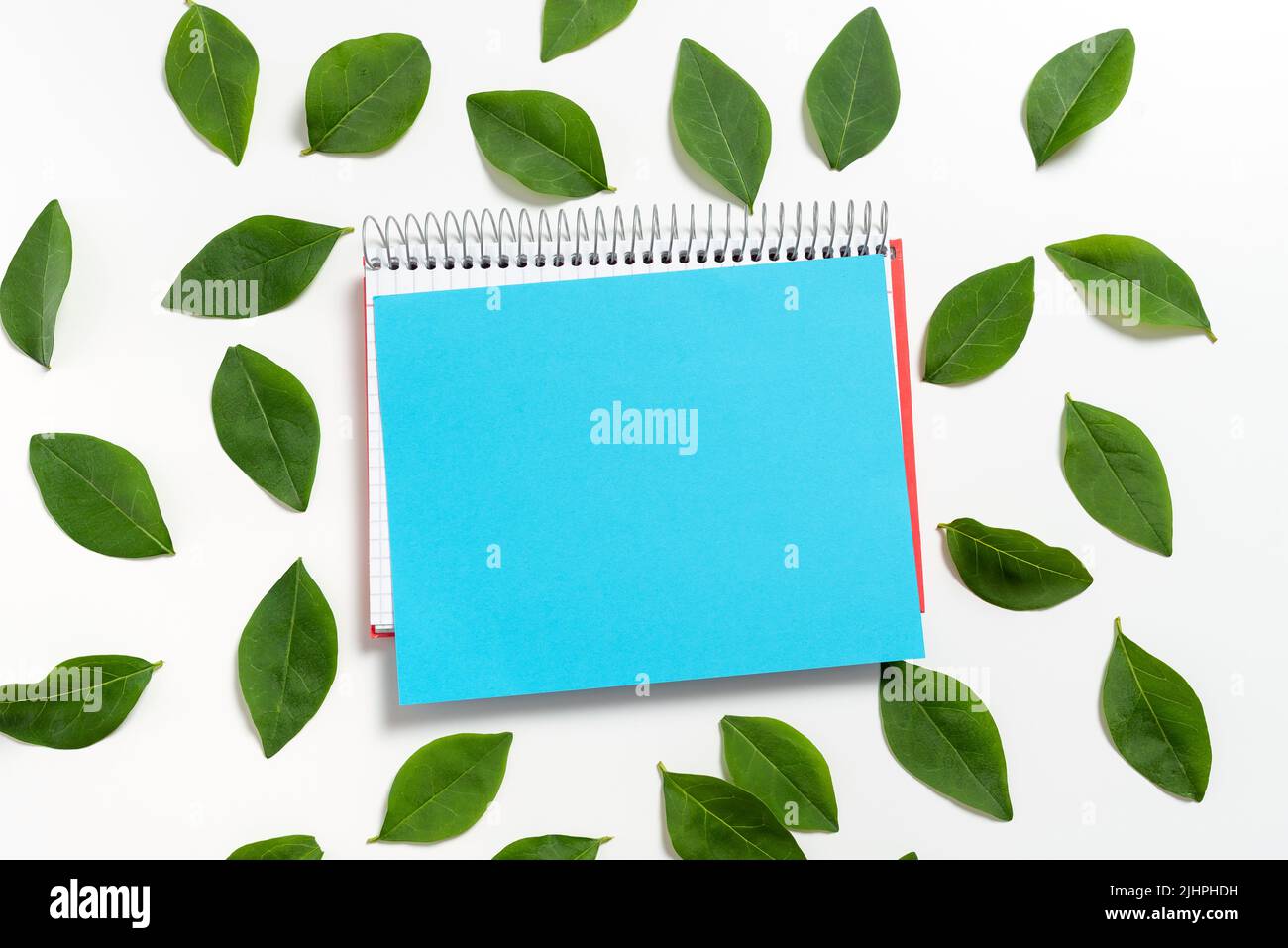 Spiral Notebook And Blank Color Paper Placed Between Fresh Leaves For ...