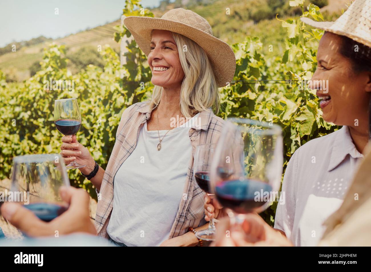 Diverse group of friends holding wineglasses on a vineyard. Happy group ...
