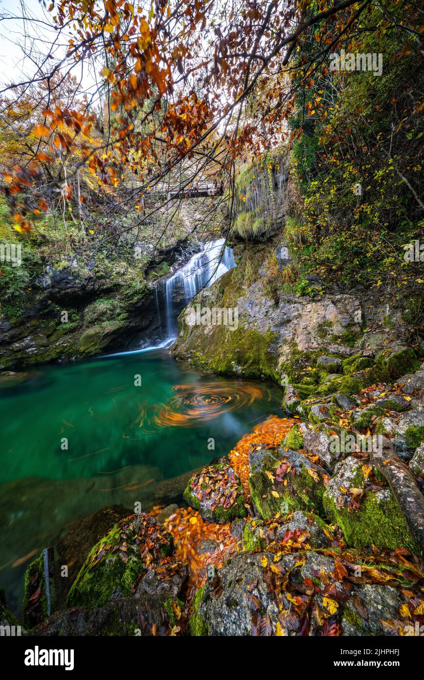 Gorgeous fall scene. The fall colors look great in the deep woods. View ...
