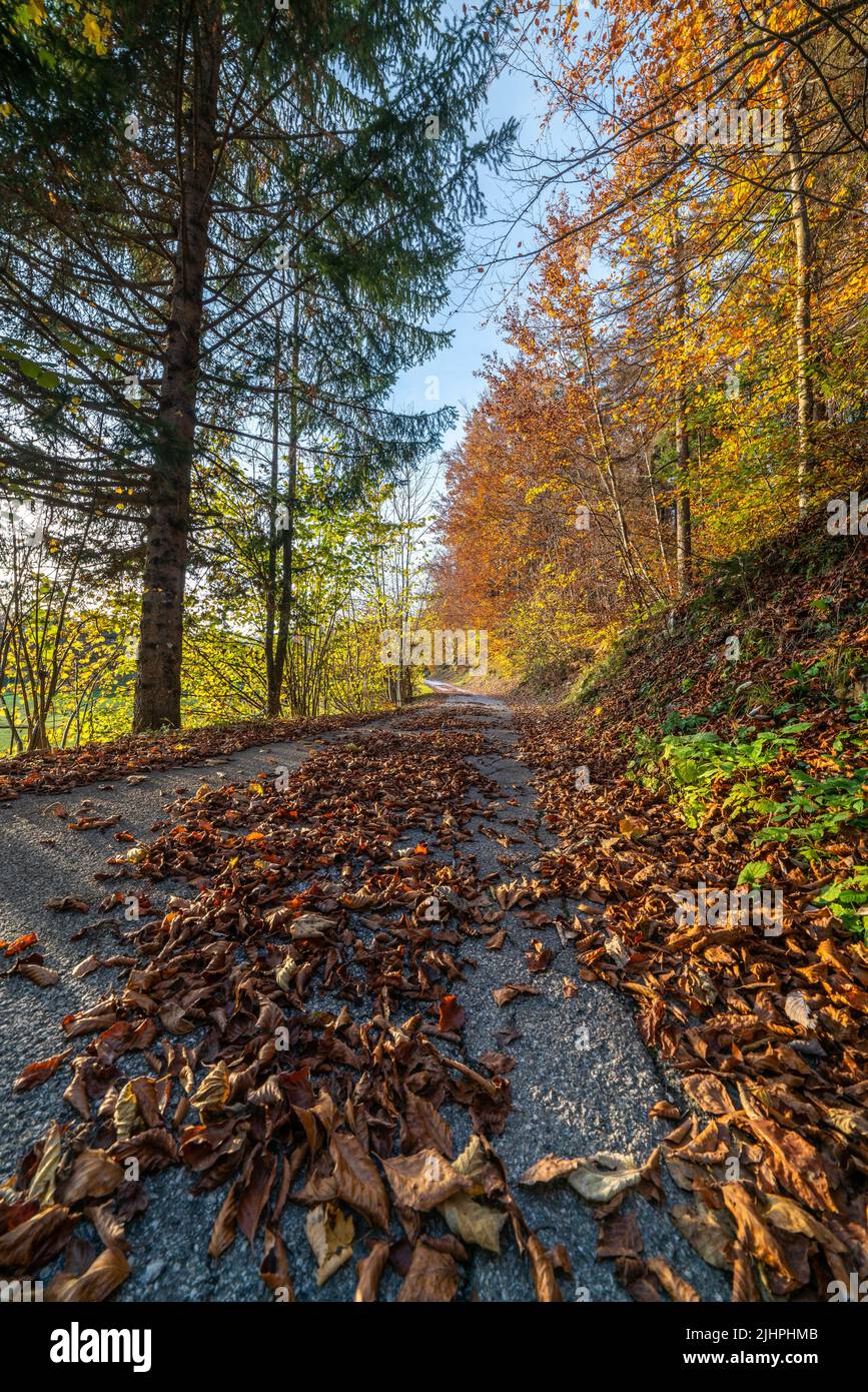 Golden Autumn in Slovenia. Magnificent Julian Alps, mountain range ...