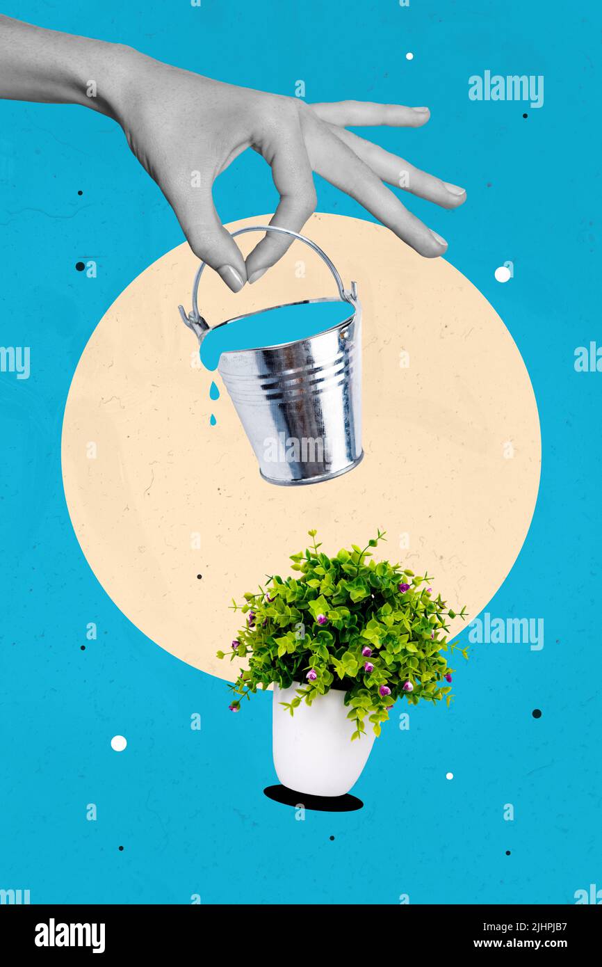 Collage 3d image of pinup pop retro sketch of arm palm watering office ...