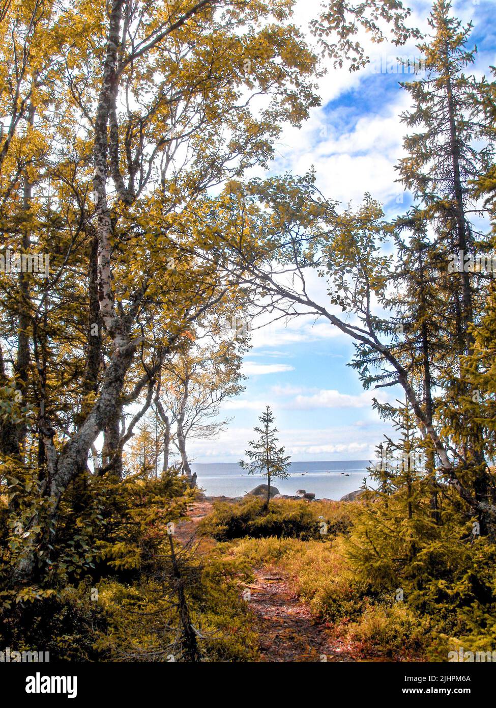 Autumn landscape with northern nature against a blue sky. A small ...