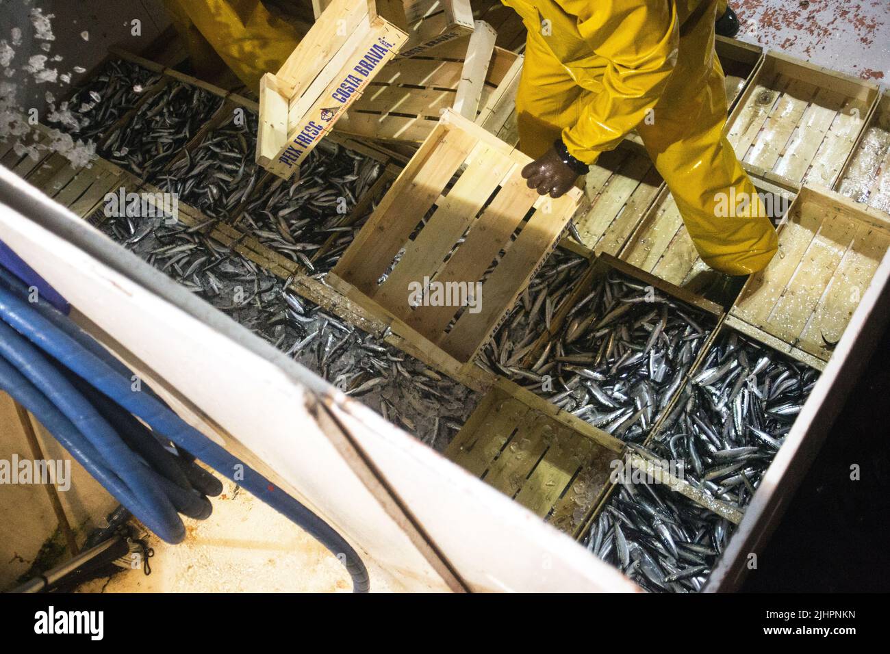 Fishermen emptying the nets into boxes Stock Photo - Alamy