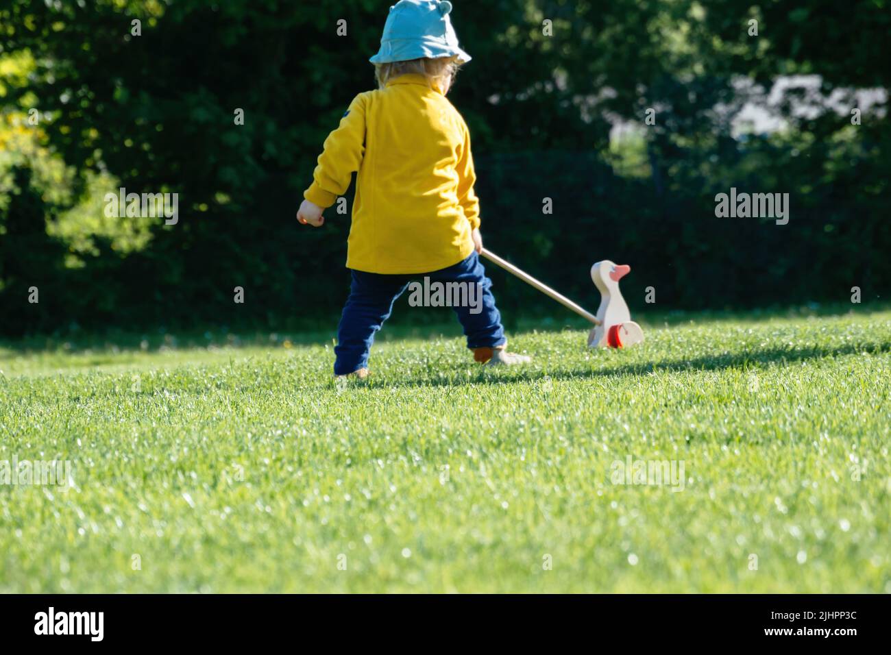 Rear view of carefree young toddler boy with classic push pull duck toy ...