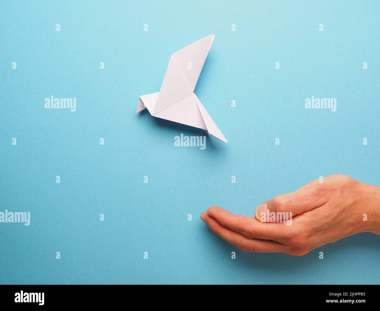Open hand with an origami peace dove on a blue paper background ...