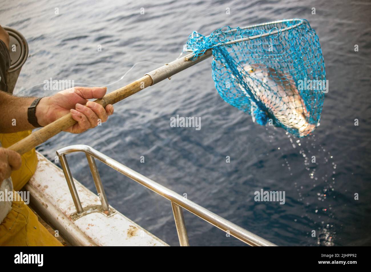 Catch in the net hi-res stock photography and images - Alamy
