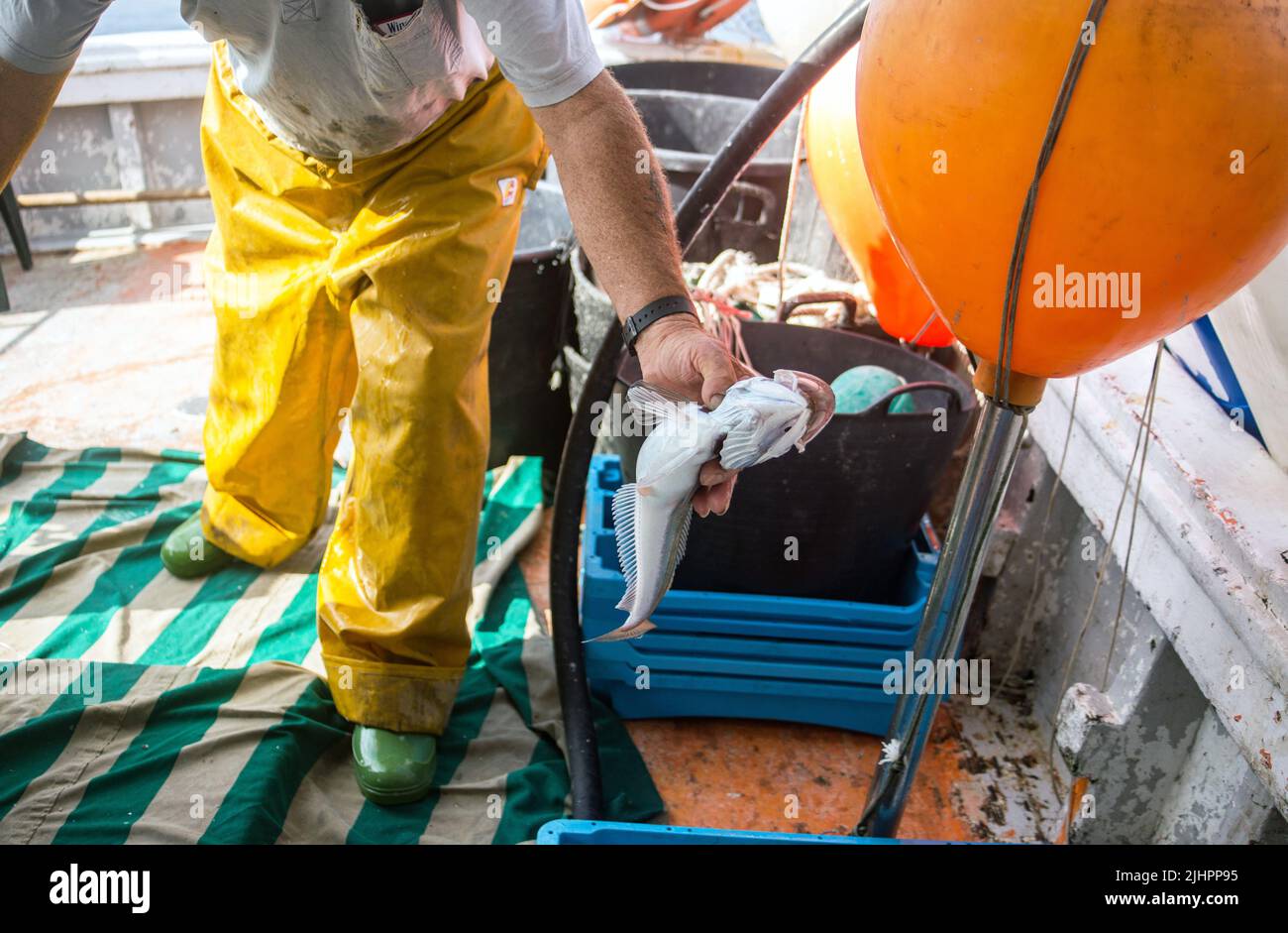 Showing the catch hi-res stock photography and images - Alamy