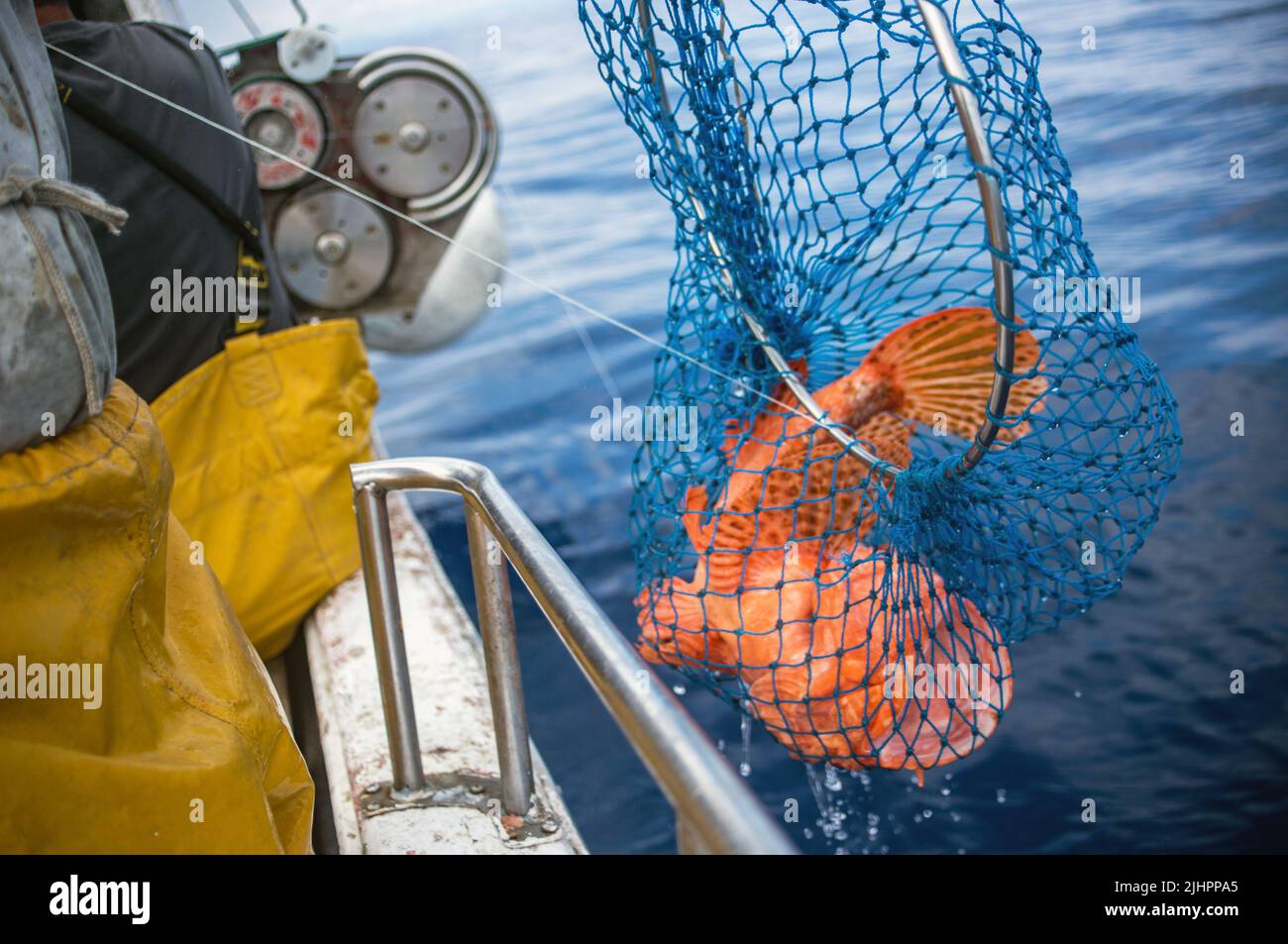 Catch in a net hi-res stock photography and images - Alamy