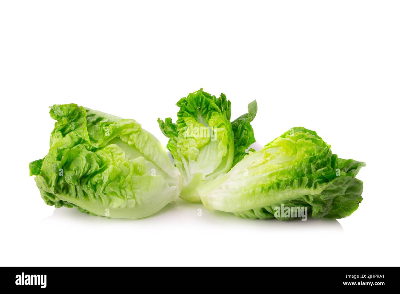 fresh baby cos (lettuce) on white background Stock Photo - Alamy