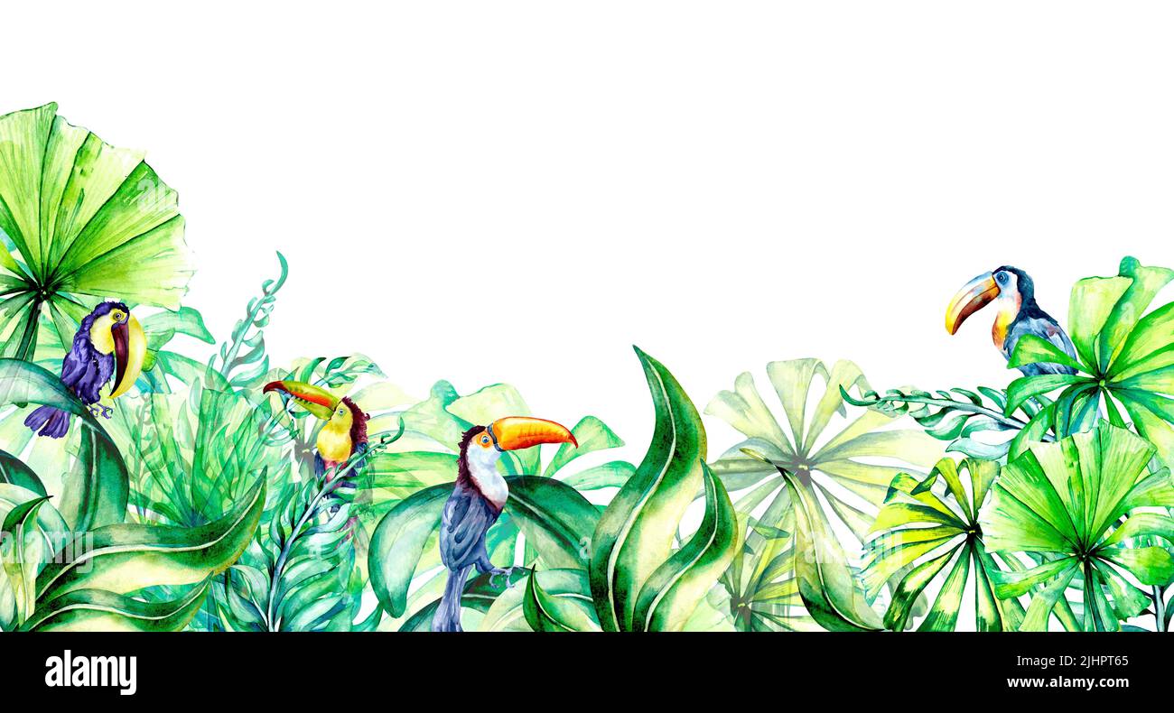 Exotic multicolor plants, birds, toucans, tropical leaves, palm border ...