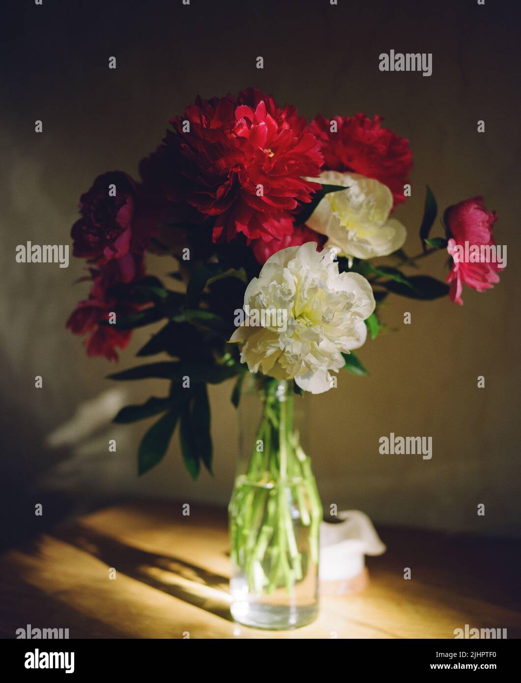 Common pepole hi-res stock photography and images - Alamy