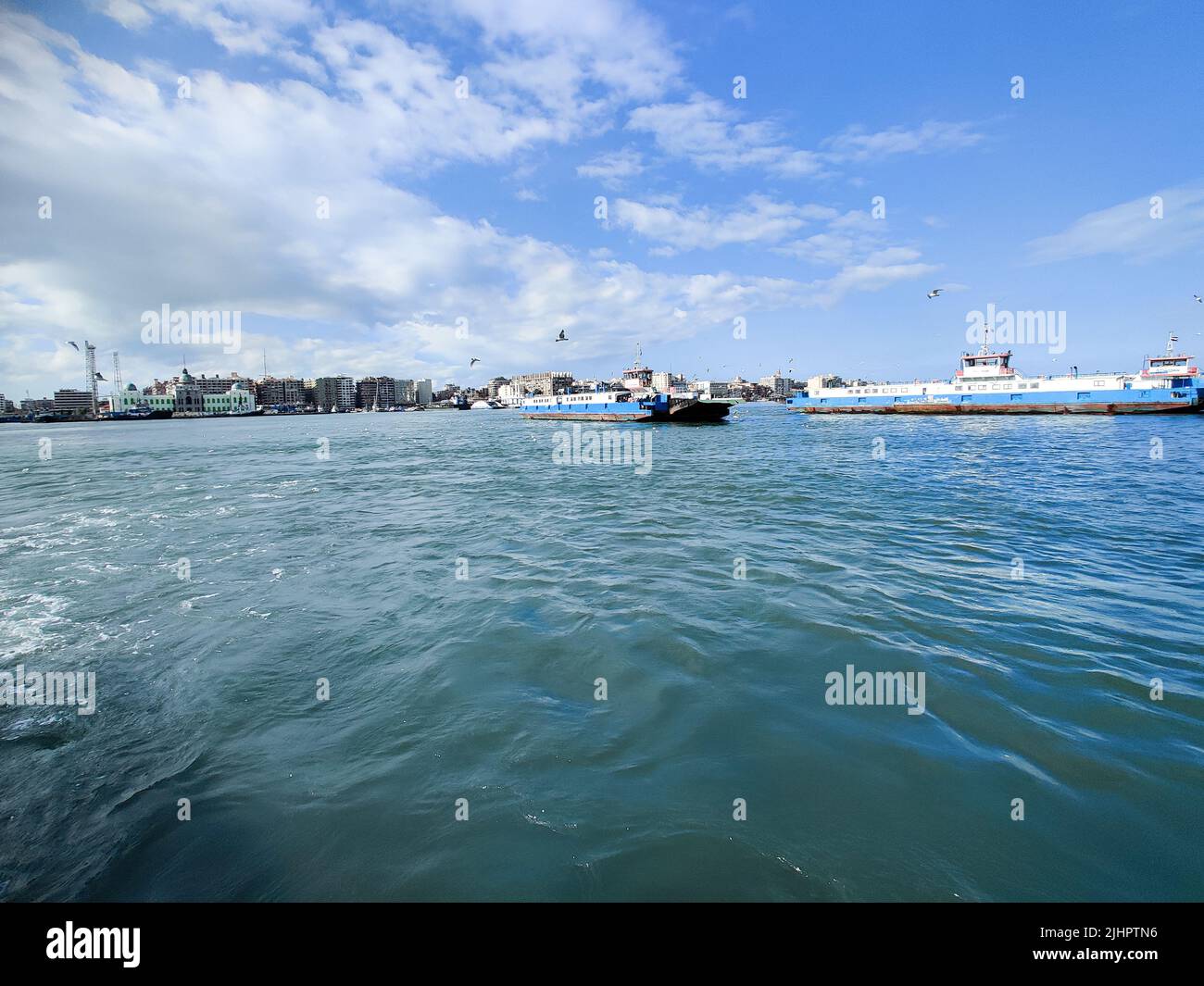 Seagulls flying and Fishing by the sea side with the background of the ...