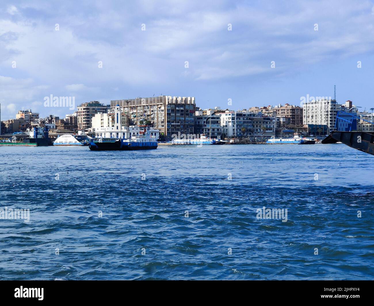 Seagulls flying and Fishing by the sea side with the background of the ...