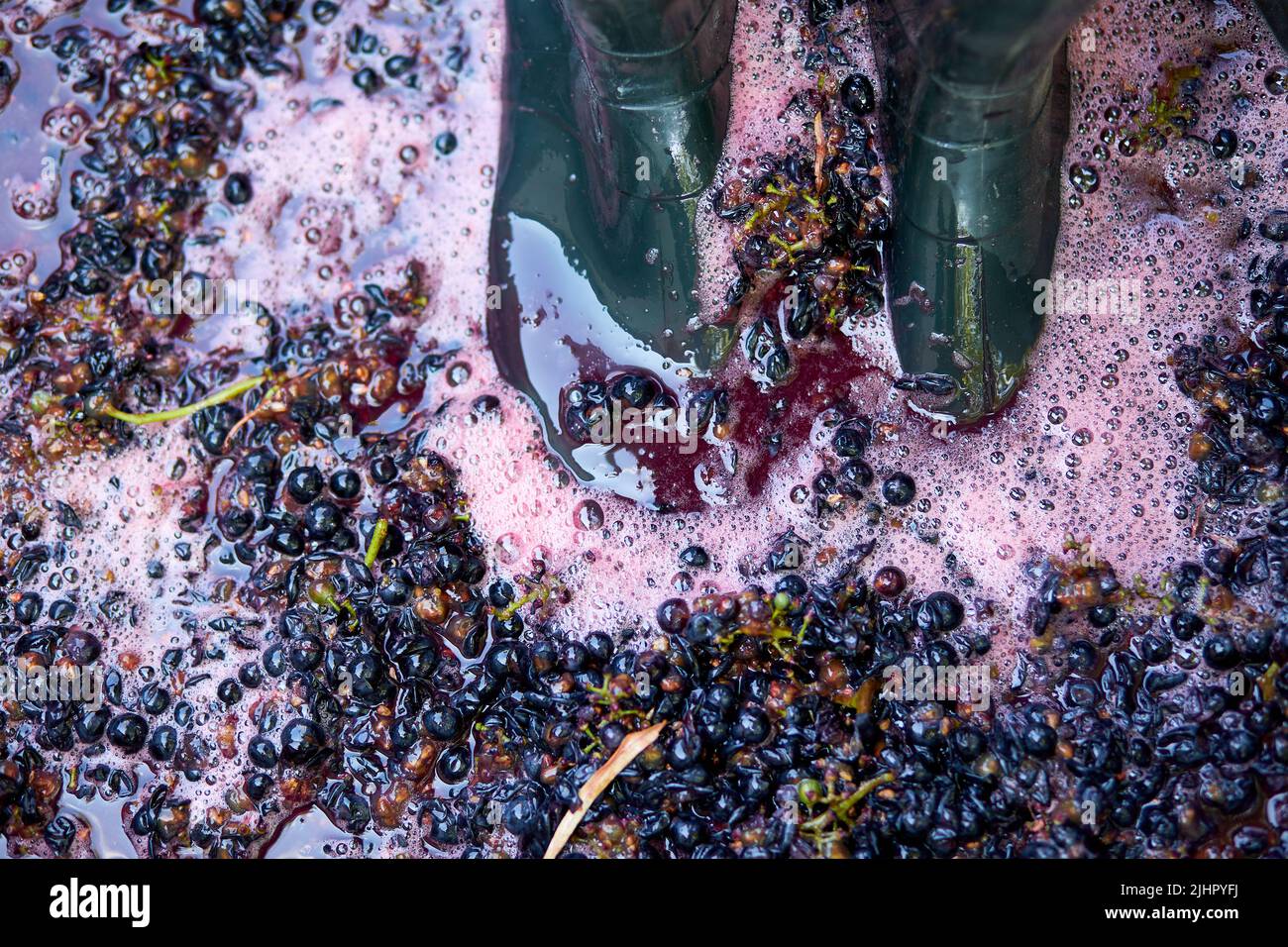 Pressing grapes feet hi-res stock photography and images - Alamy