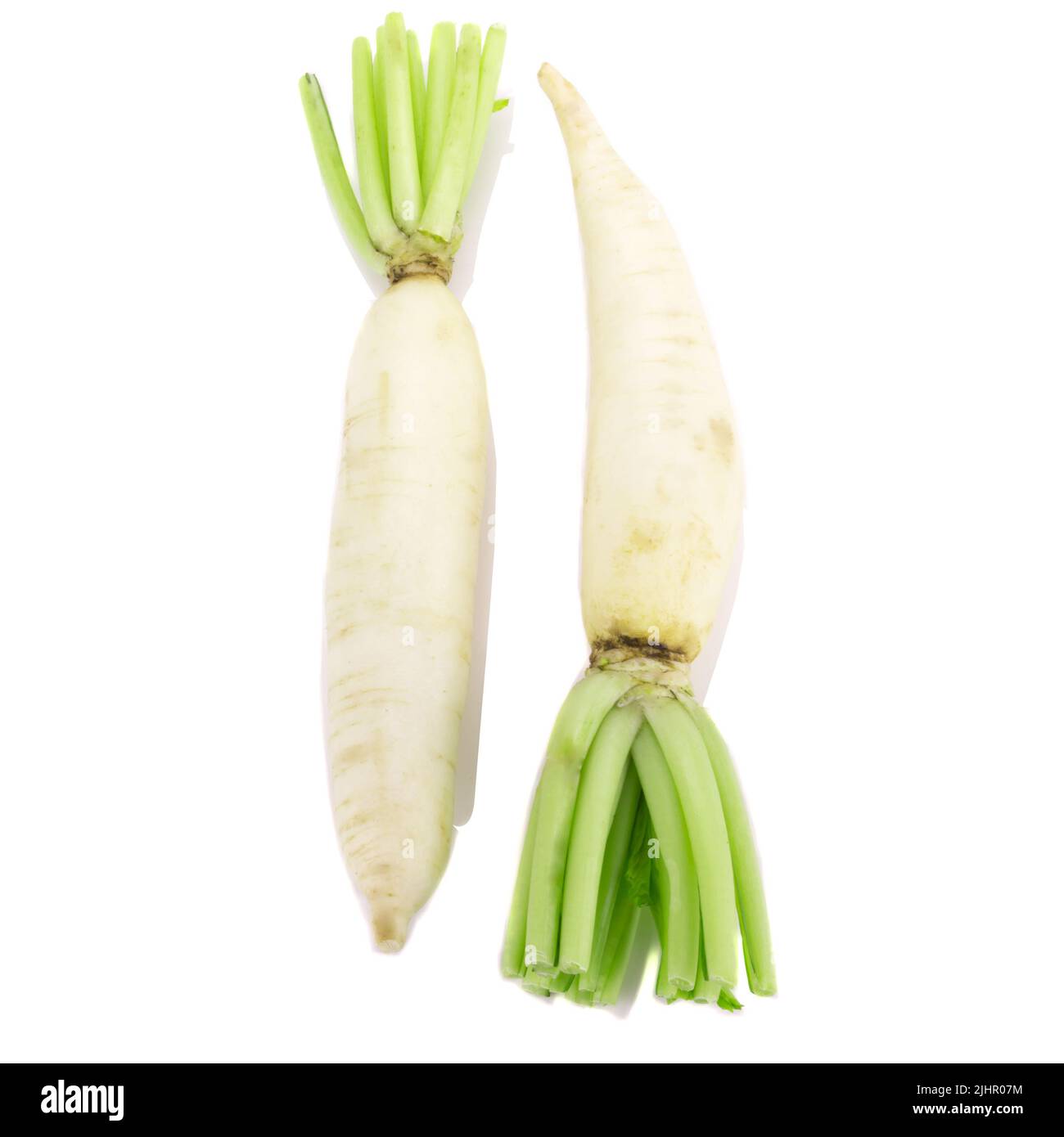 Daikon radishes isolated on white background Stock Photo - Alamy