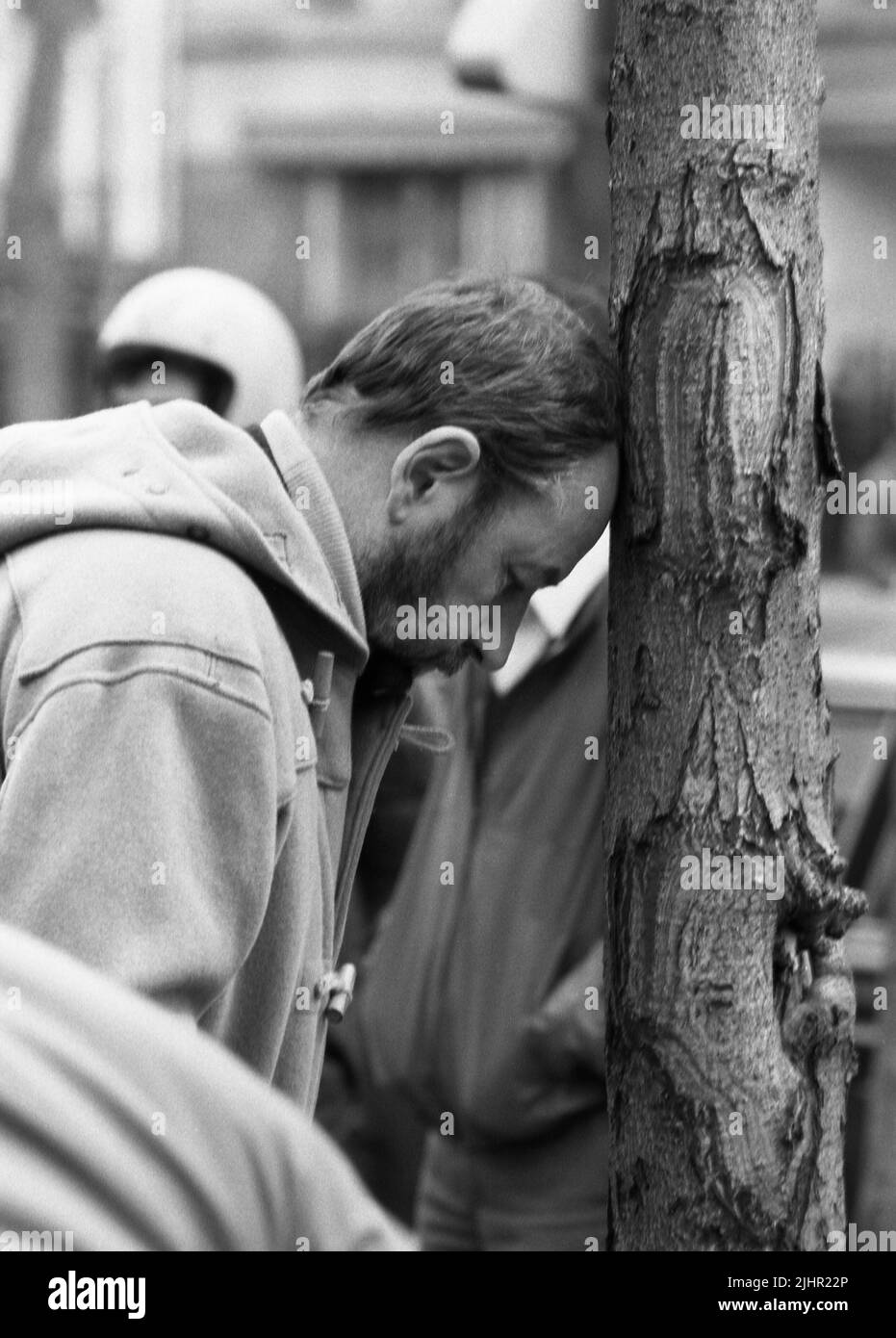 Tree directed Black and White Stock Photos & Images - Alamy