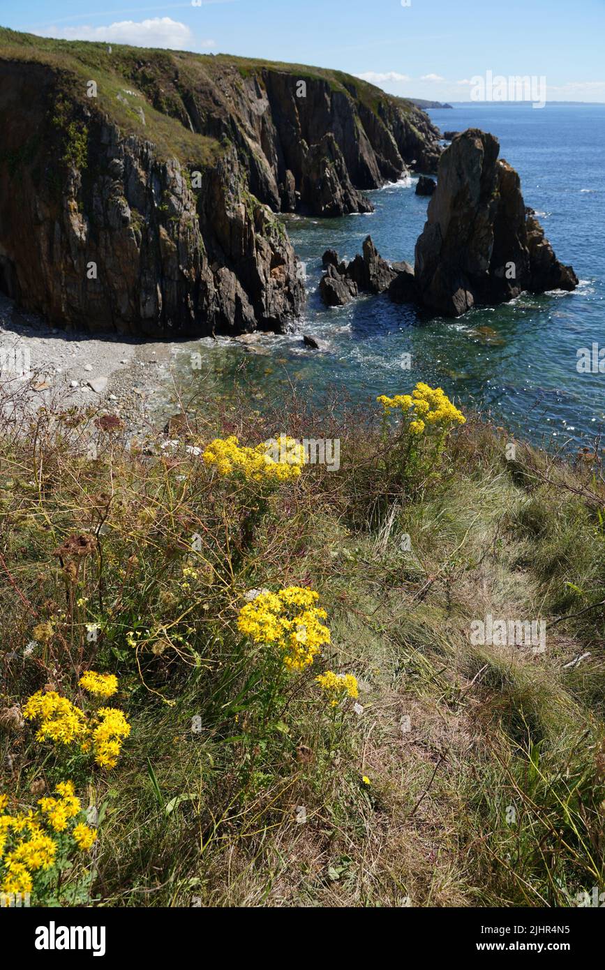 France, Bretagne region (Brittany), North tip of Finistère, pays d ...