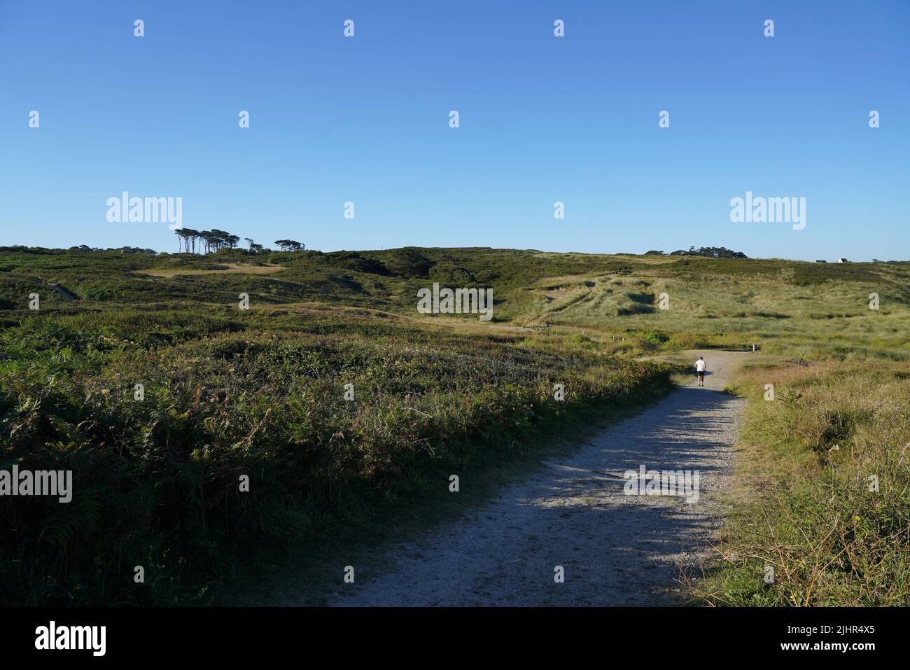 France, Bretagne region (Brittany), North tip of Finistère, pays d ...