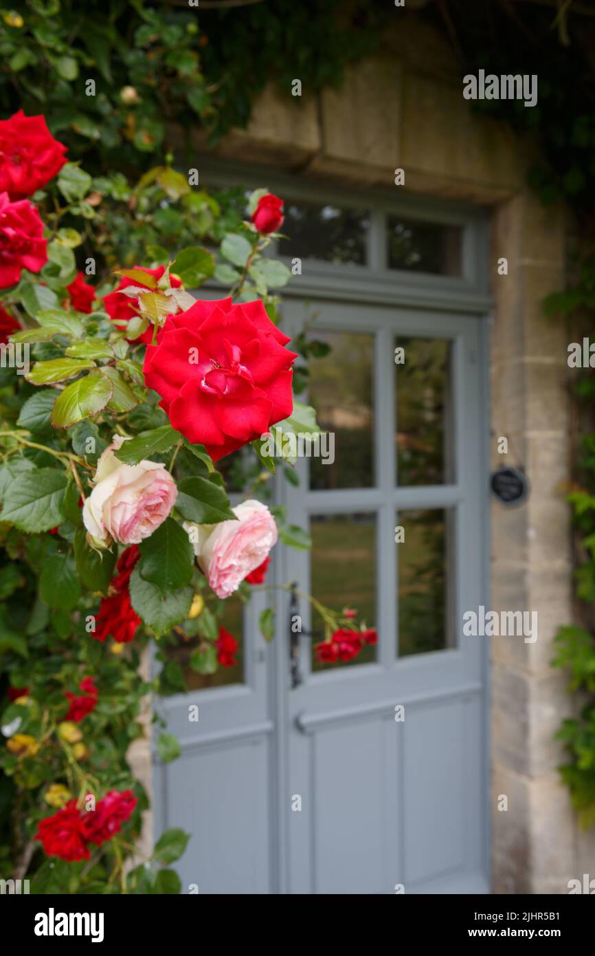 Roses and house door Stock Photo - Alamy