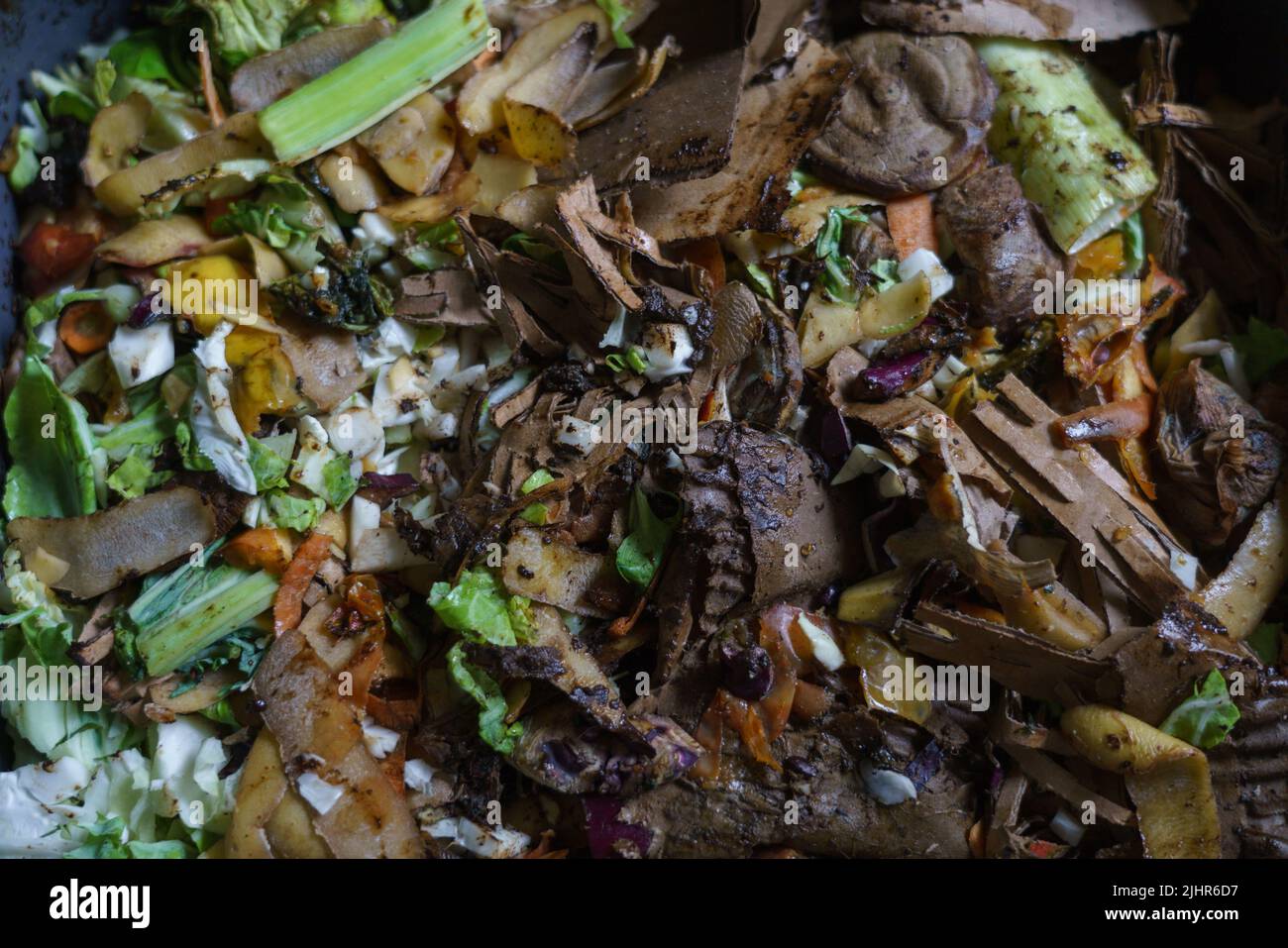 France, Ile de France region, Paris 14th arrondissement, food waste in ...