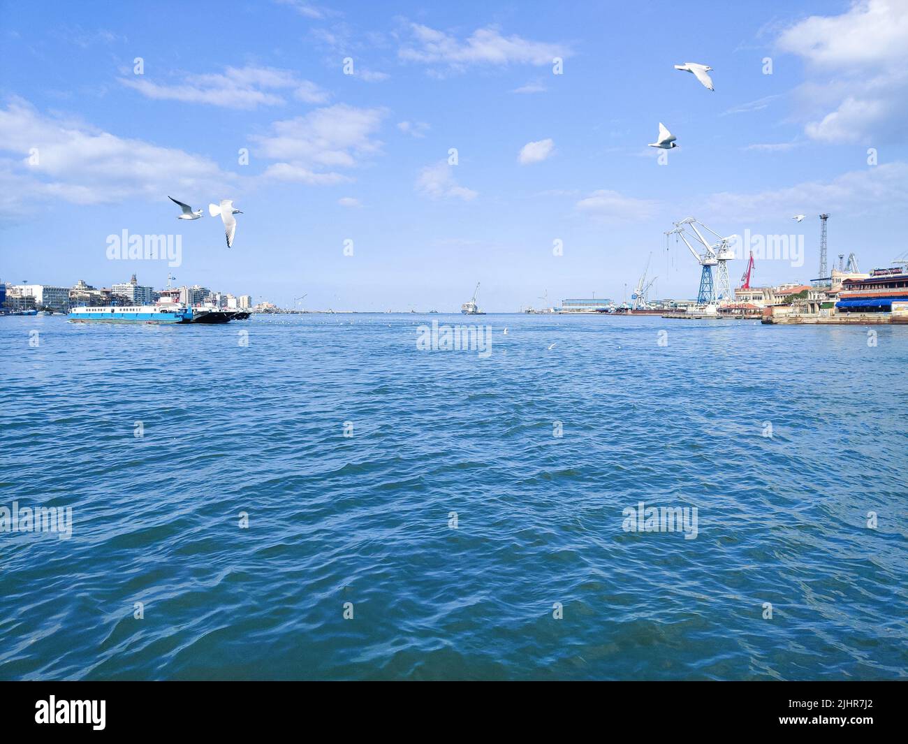 Seagulls flying and Fishing by the sea side with the background of the ...