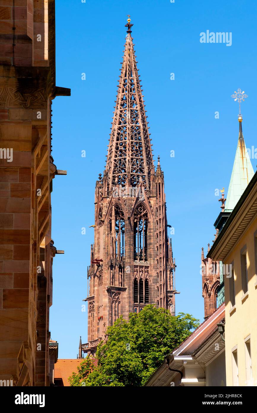 Freiburg cathedral hi-res stock photography and images - Alamy