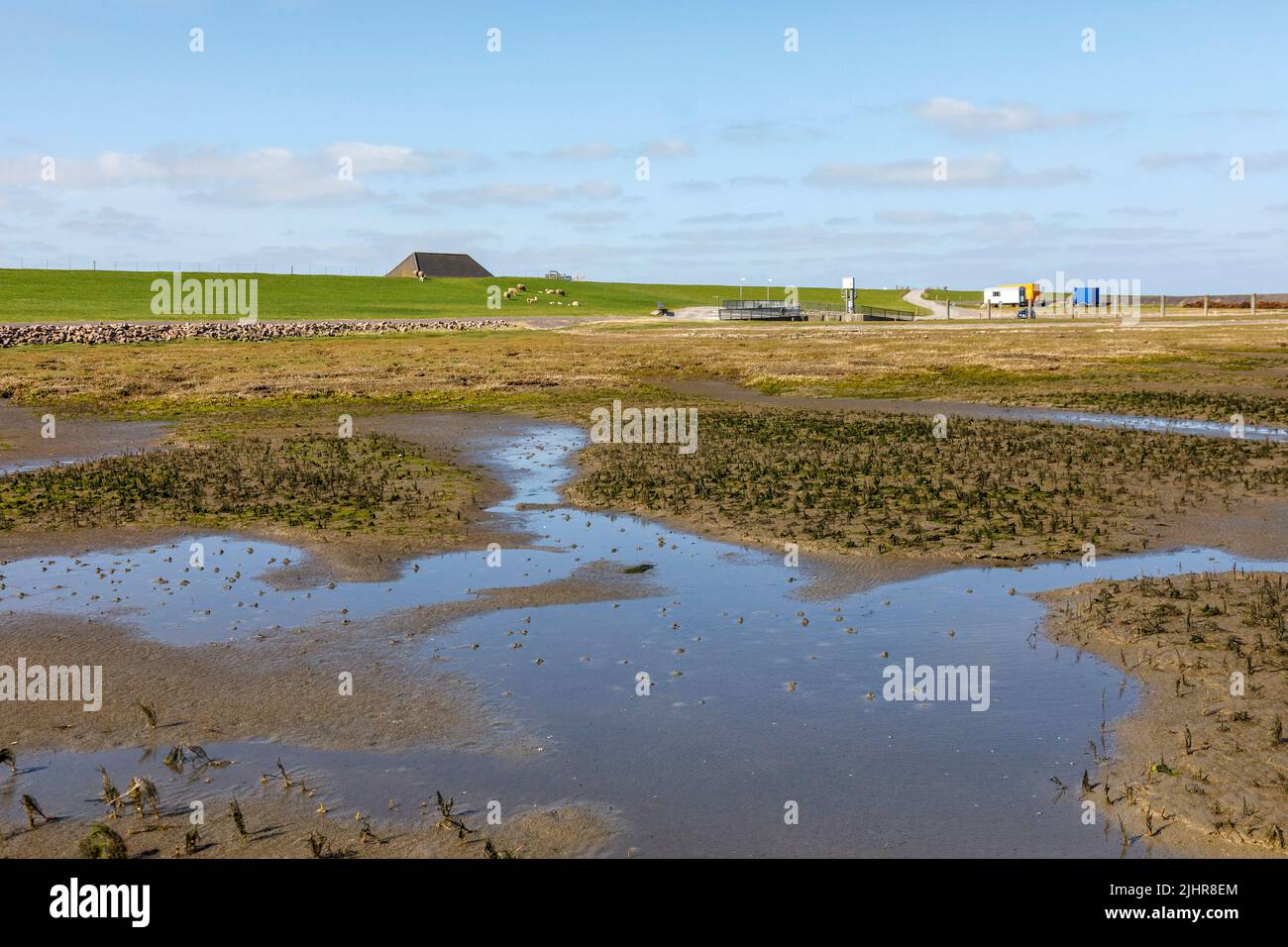 Wadden landscape near Tetenbull in North Friesland, view of the dike at ...