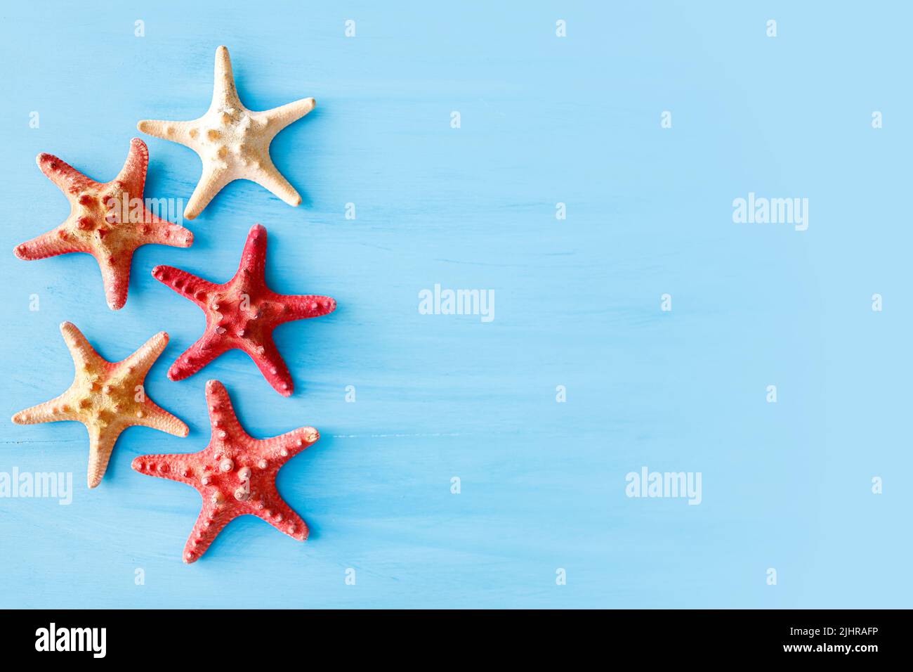 Marine blue background with seashells and starfish Stock Photo - Alamy