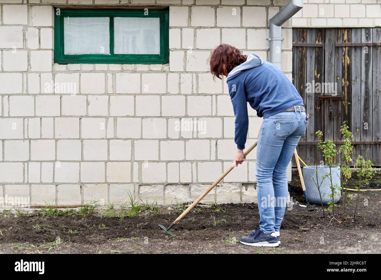 Woman digging the soil with a hoe in a vegetable garden Stock Photo - Alamy